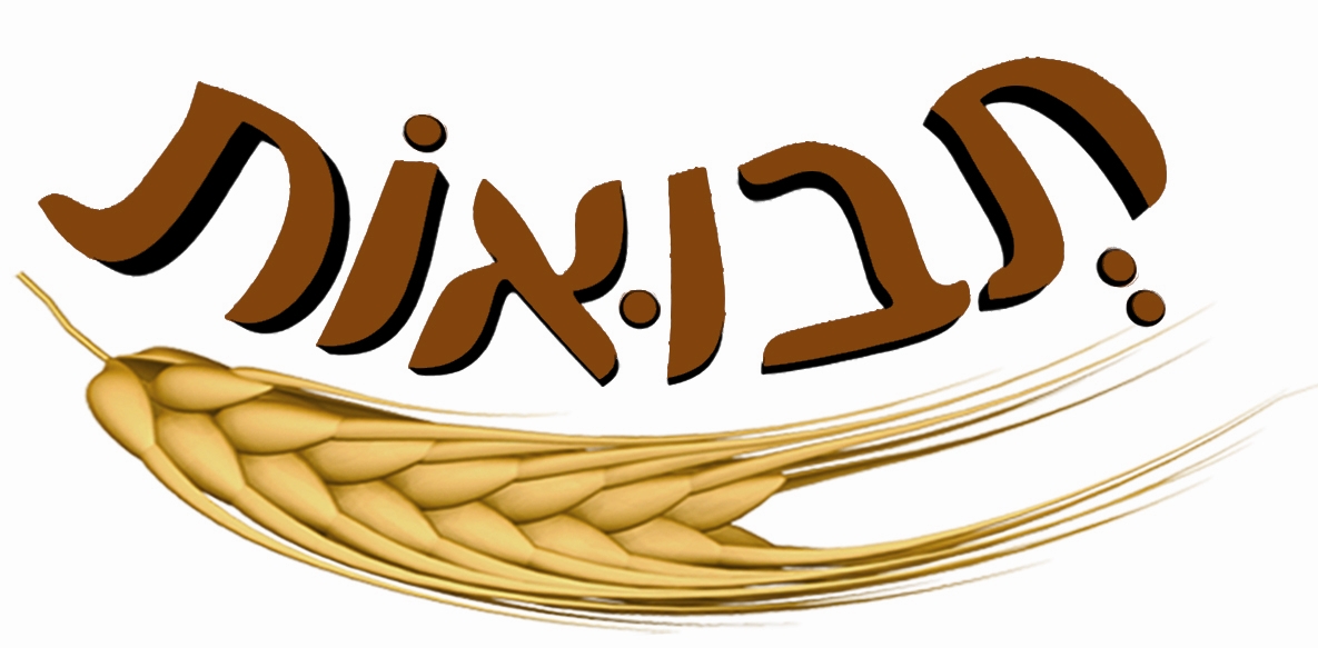 COMAX - ERP תוכנה לניהול